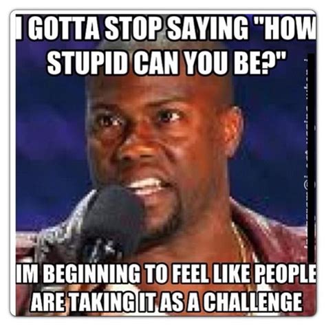 I Quit Funny Quotes Quotesgram
