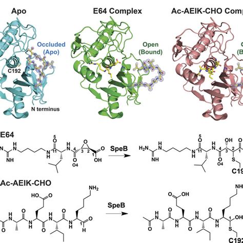 Noncoding Dna Was Enriched More Than Coding Dna The Level Of
