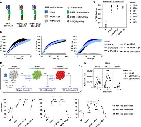 Novel Ox40 And 4 1bb Derived Spacers Enhance Cd30 Car Activity And