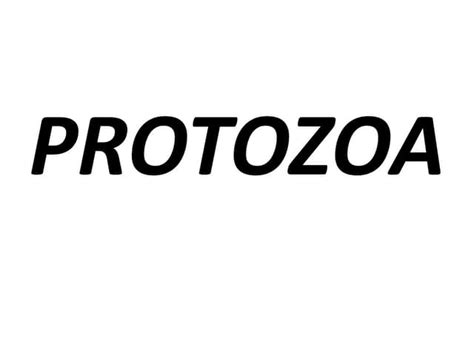 Protozoa Structure Ppt