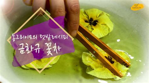 천연 콜라겐이 듬뿍 좋은 약성이 너무 많은 금화규 꽃차 동그리이모의 텃밭 레시피 25 Youtube