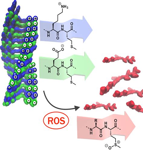 Publications Besenius Lab Supramolecular Functional Materials