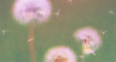 Openai Aims To Create Ai Benchmarks That Better Reflect Real World Use Cases — Meta Ai Labs™