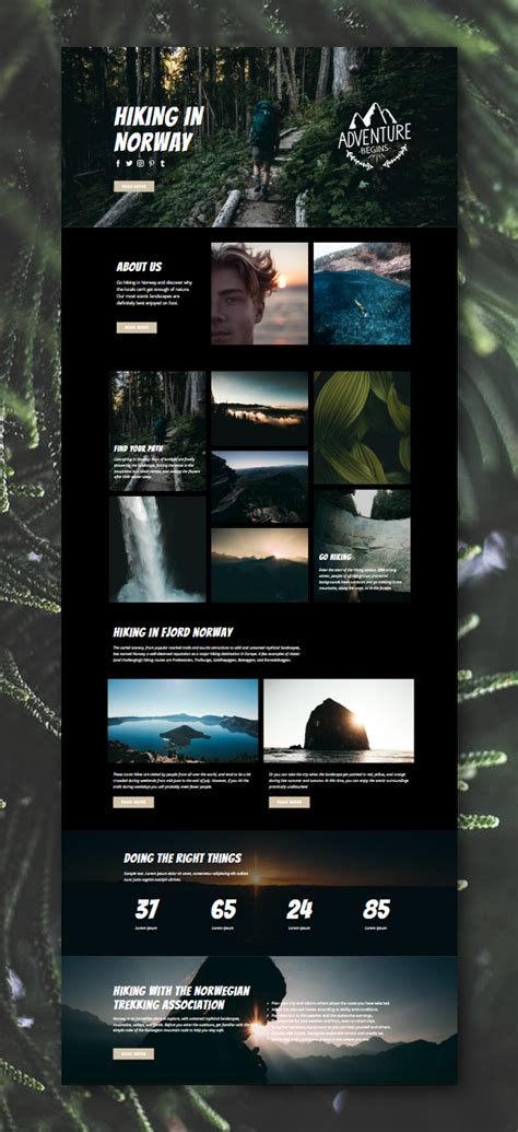 free template by nicepage builder web design web design inspiration