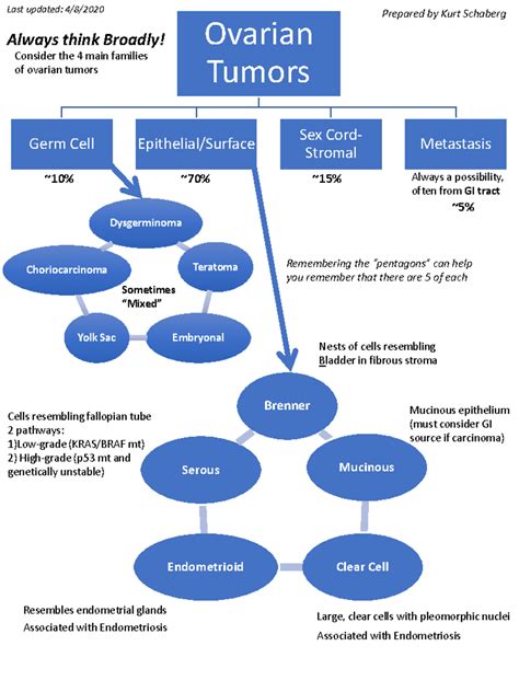 Ovarian Tumors 2 Ovarian Tumors Germ Cell Epithelialsurface Sex Cord