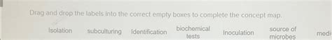 Solved Drag And Drop The Labels Into The Correct Empty Boxes