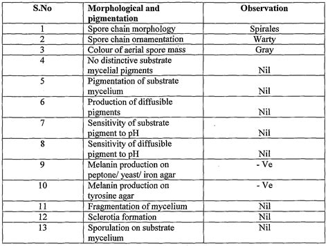 Cultural Characteristics Cultural Aspects Sociocultural Environment