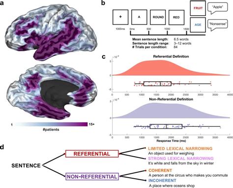 Limitations Of Spatiotemporal Resolution Have Rendered It Difficult To Isolate Language Here