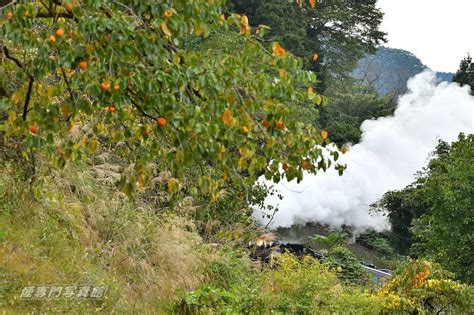 煙専門写真館 期待の白煙 秩父鉄道