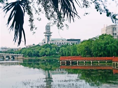中南财经政法大学431金融学 中南财431 431金融学专业课复习规划经验分享 知乎