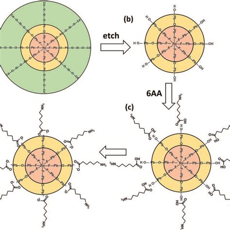 A Xrd Pattern Of Gcs B Xrd Pattern Of Er³⁺yb³⁺ Co Doped β Pbf2 Ncs