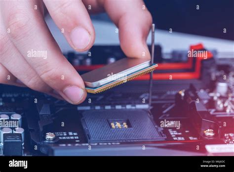 Installation Of Modern Processor In Cpu Socket On The Motherboard Stock