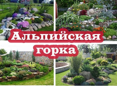 Альпийская горка своими руками 30 идей