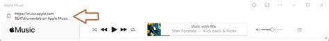 Hide Address Bar In Installed Site Redge