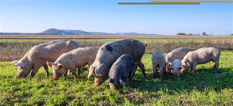 存真生物科技 Purecare