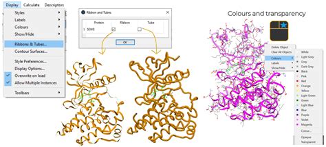Getting Started With Protein Ligand Docking Using Gold Ccdc