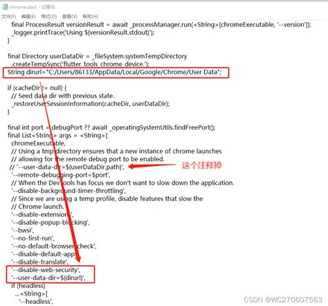 Flutter Web 带cookie跨域调试解决方法flutter Disable Web Security Csdn博客