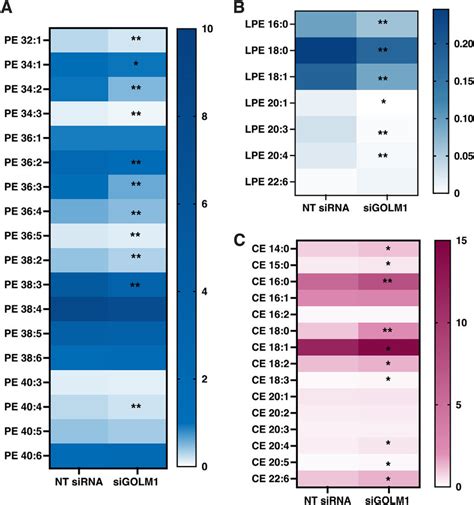 The Alterations Of Membrane Phospholipid And Neutral Lipid Species