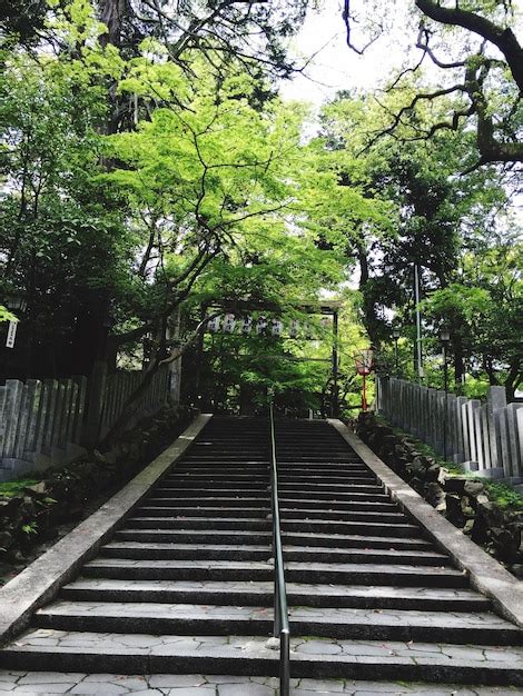 Premium Photo View Of Steps Along Trees
