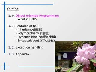 Object Oriented Programming Exception Handling PPT