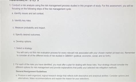 Solved Risk Analysis And Mitigation Strategies Assignment