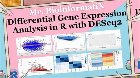 Differential Gene Expression Analysis In R With Deseq2 Bioinformatics