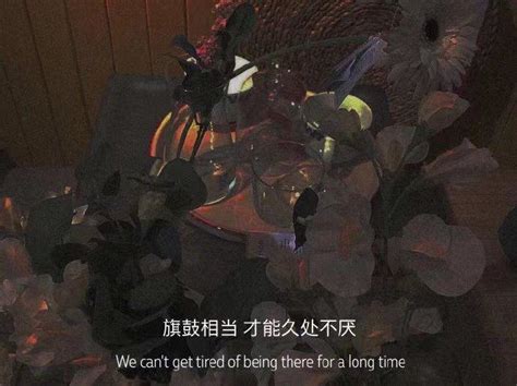 日常发动态的朋友圈文案 知乎