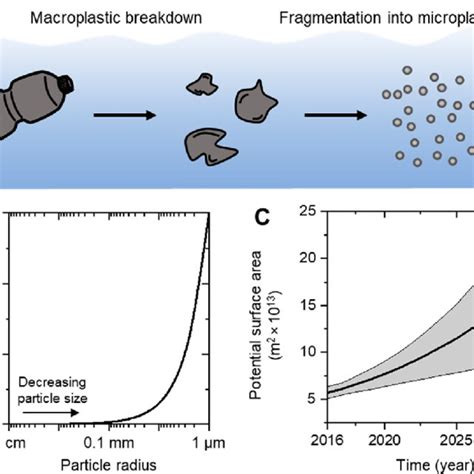A Schematic Of Microplastic Breakdown In The Environment B