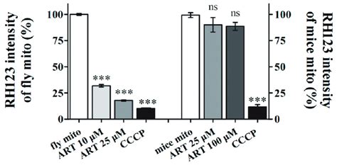 Art Is A Potent Drosophila Mitochondrial Depolarizer Art Selectively Download Scientific