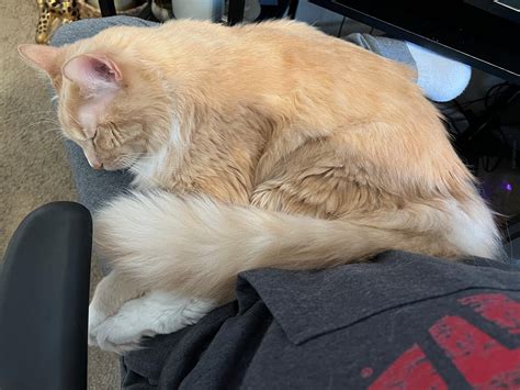 I Cant Feel My Toes Anymore But At Least Hes Comfortable Raww