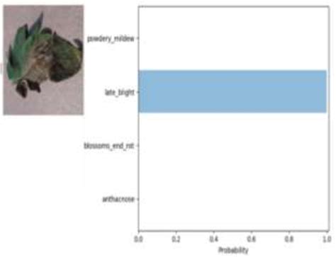 Figure 1 From Identification Of Tomato Plant Diseases Using Convolutional Neural Network