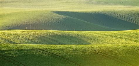 Rolling Fields Background Images Hd Pictures And Wallpaper For Free