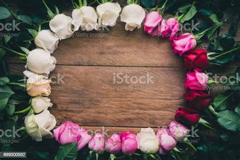 화려한 장미 당신의 메시지를 작성 하기 위한 공간을 가진 나무 바닥에 줄을 꽃 나무에 대한 스톡 사진 및 기타 이미지 꽃 나무 꽃 식물 낮 Istock