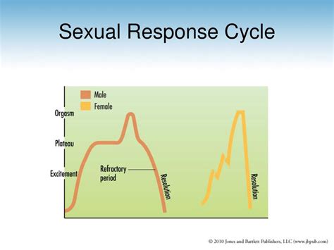 Chapter 8 Sexuality And Intimate Relationships Ppt Download Chapter 8 Sexuality And Intimate Relationships Ppt Download