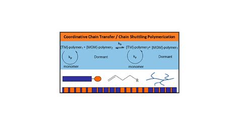 Coordinative Chain Transfer And Chain Shuttling Polymerization