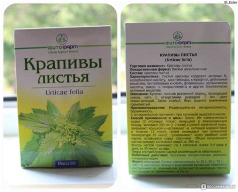 Крапива для лица: особенности и способы применения, рецепты средств