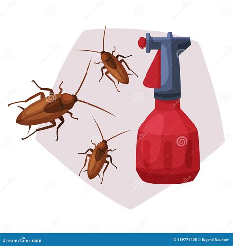 Sprayer Bottle Of Cockroach Insecticide Pest Control Service