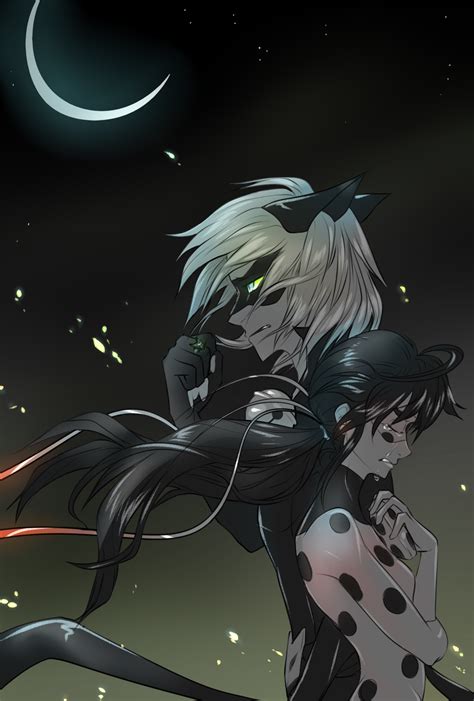Miraculous Ladybug And Chat Noir At Night Ladybug E Catnoir Ladybug Und