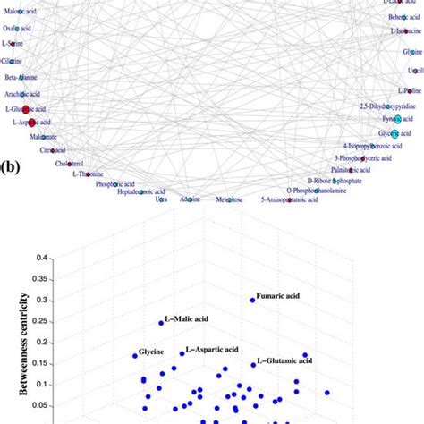 Visualization And Analysis Of The Metabolic Correlation Network Based