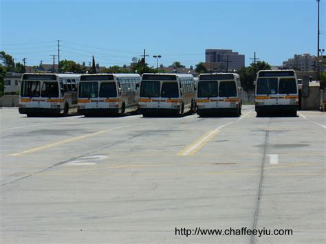 Lacmta