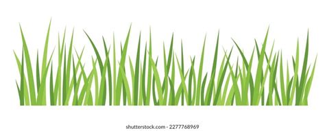 Blades Green Grass Vector Illustration Stock Vector Royalty Free