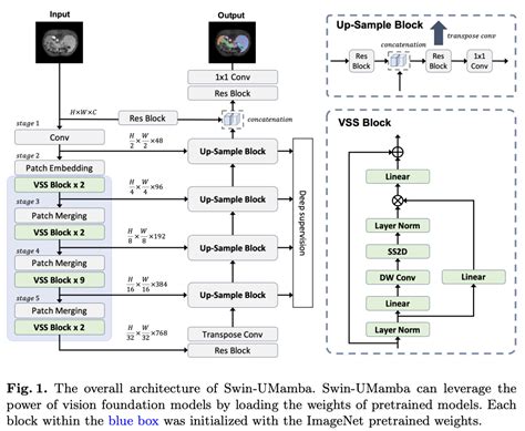 Swin UMamba基于Mamba和ImageNet预训练的医学图像分割模型 知乎