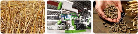Straw Pellet Plant 05 40tph Customizable For You