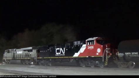 Cn A431