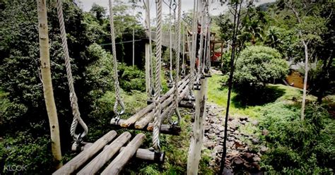 TreeTop Challenge At Mount Tamborine From Gold Coast Klook US