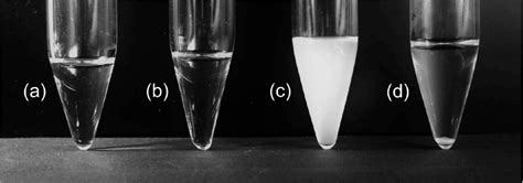 Figure 2 From An Ionic Liquid Based Microextraction Method For Ultra