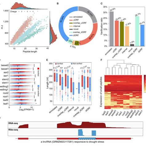 Genome Wide Characterization Of Sorfs In Maize A Distribution Of Download Scientific
