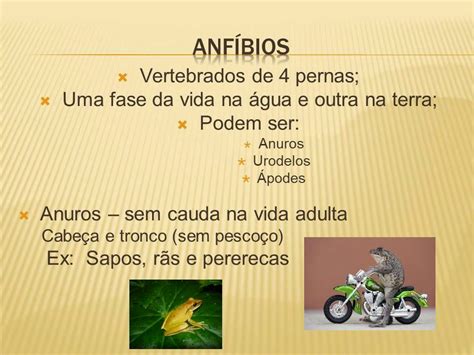 Ciência Diária 7ª Ano Anfíbios