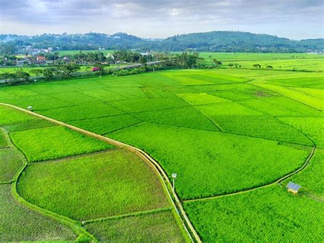 Fimi Images Free Download On Freepik