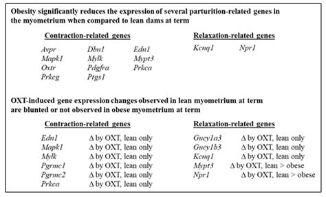 Altered Uterine Gene Expression In Lean And Obese Mice Following Maternal Oxytocin
